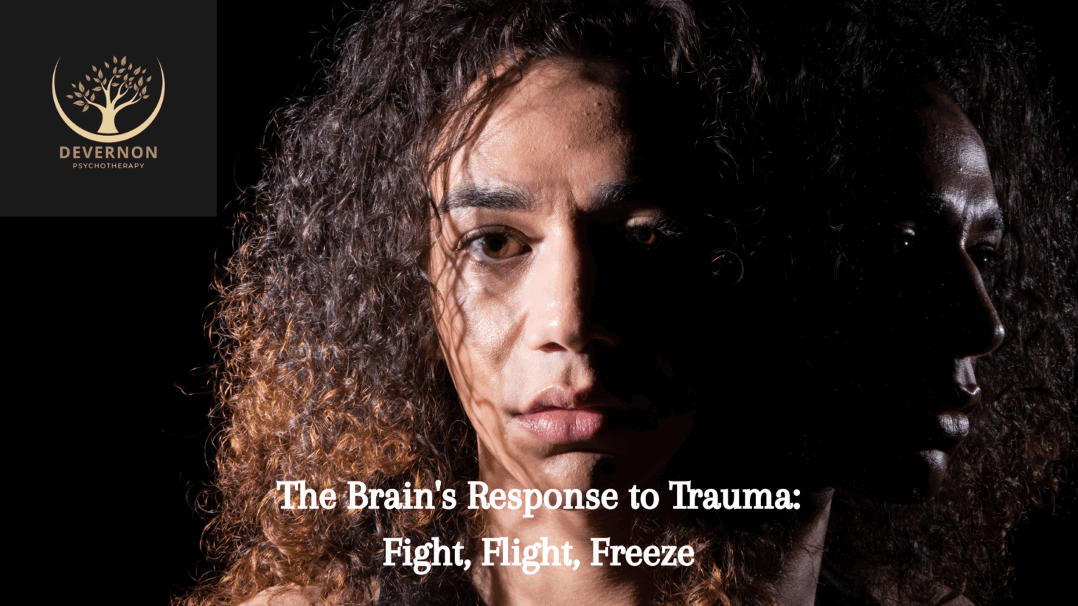 Understanding Fight, Flight, Freeze: Trauma Response Explained ...